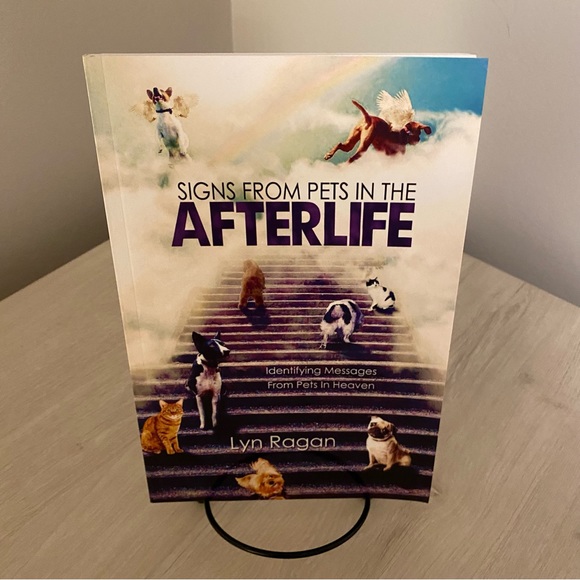 Lyn Ragan | Office | Signs From Pets In The Afterlife Identifying ...